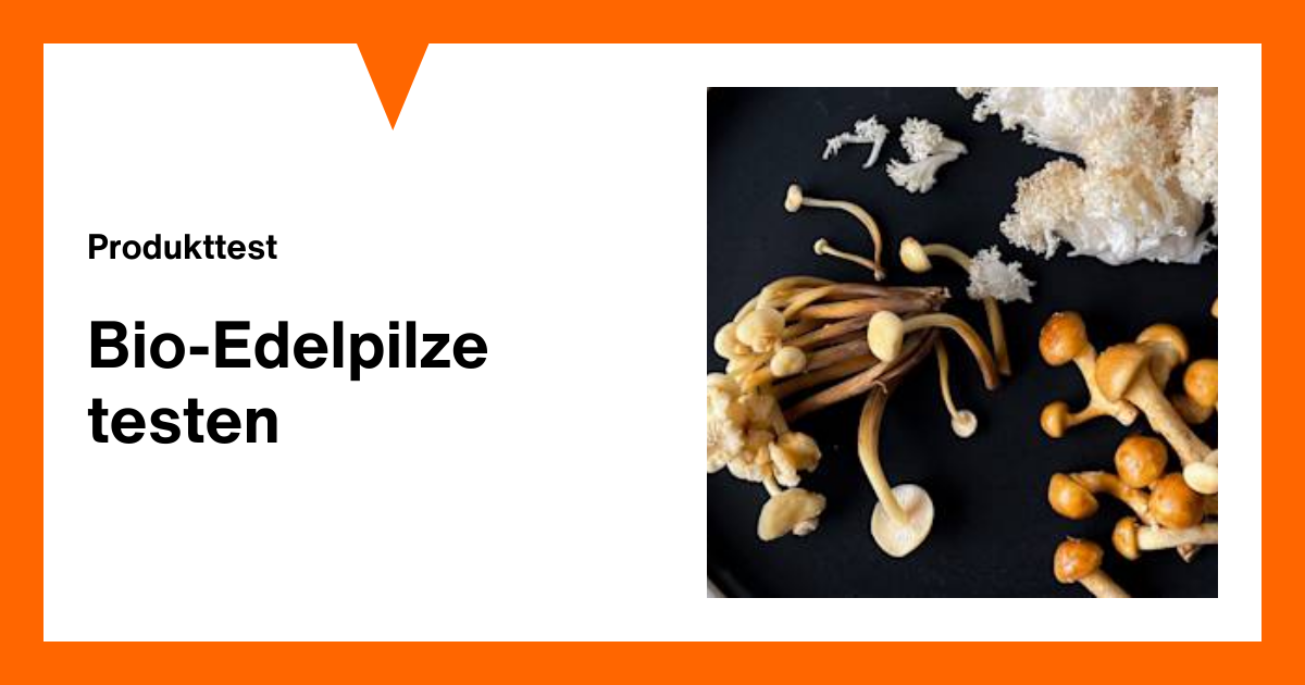 Bio-Edelpilze testen | Produkttester gesucht | Migros Migipedia